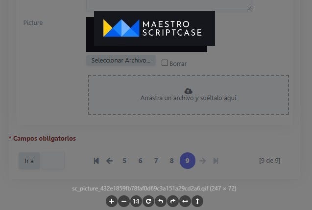 Scriptcase 9.5: El veredicto. ¡Scriptcase 9.5 ya está aquí! | by Editor Mestre Scriptcase ...