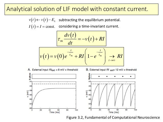 Modeling the simplest biological neuron with python | by Nosratullah Mohammadi | Analytics ...