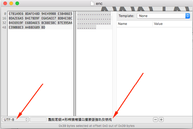 PicoCTF 2021: Transformation. The basic reverse engineering concept… | by c0d3x27 | InfoSec ...