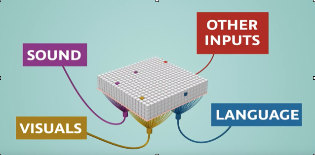 Understanding Hierarchical Temporal Memory | by Richa Singh | Medium