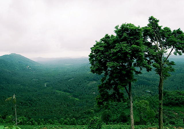 Top 8 Tourist Places to Visit in Malappuram | by Paradise Holidays | Medium