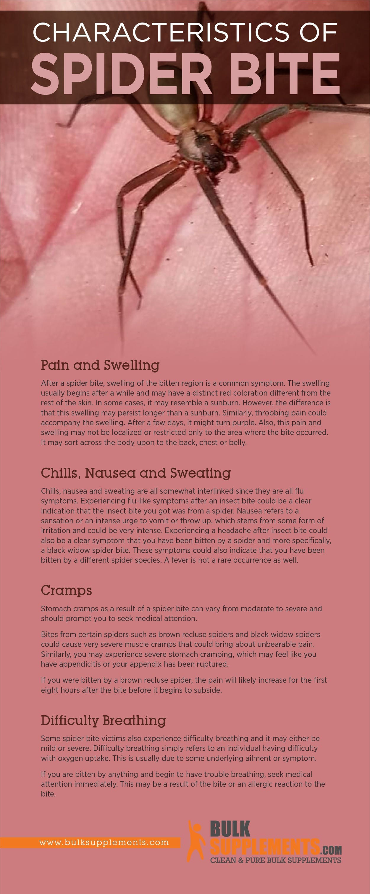 Spider Bites Noredside Spider Bites Noredside