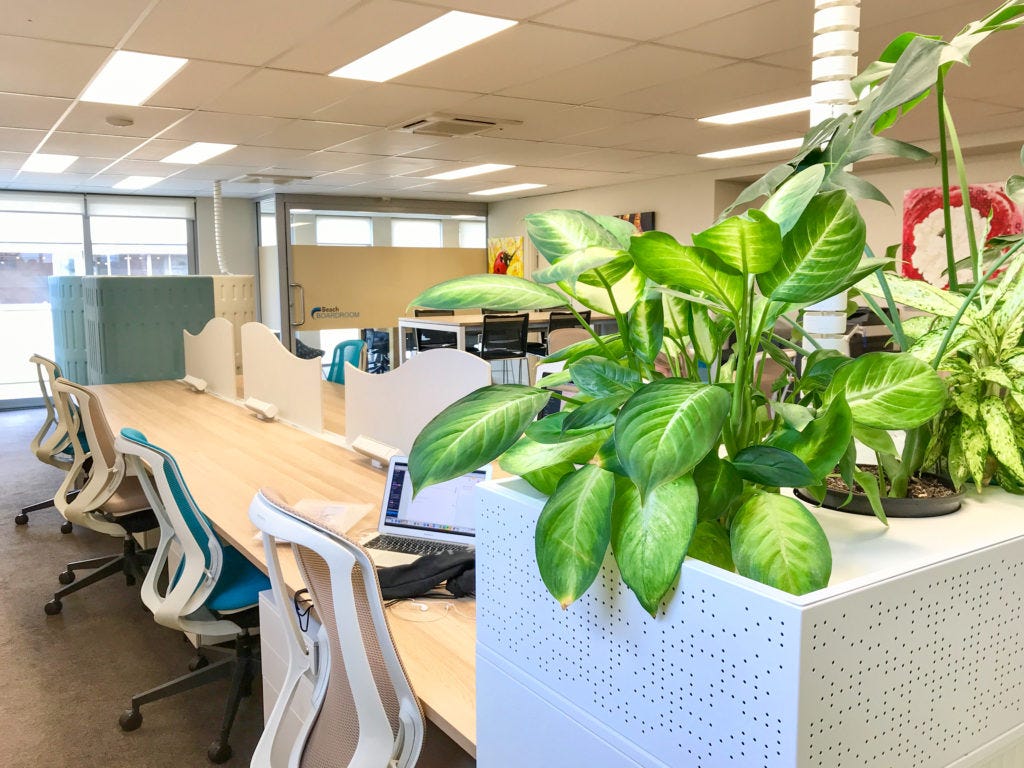 Meet The Founder: Sue Viskovic of Flowspace | by Coworker.com | Medium