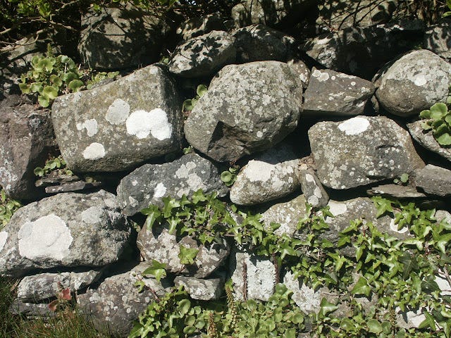 Stone Walls Of Pembrokeshire - Laurie Manton - Medium