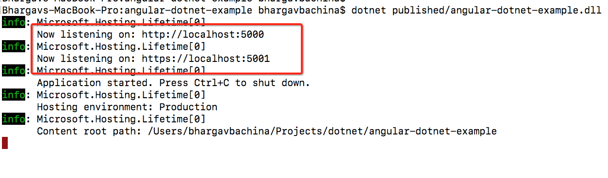 Dockerizing Angular App With Core Backend By