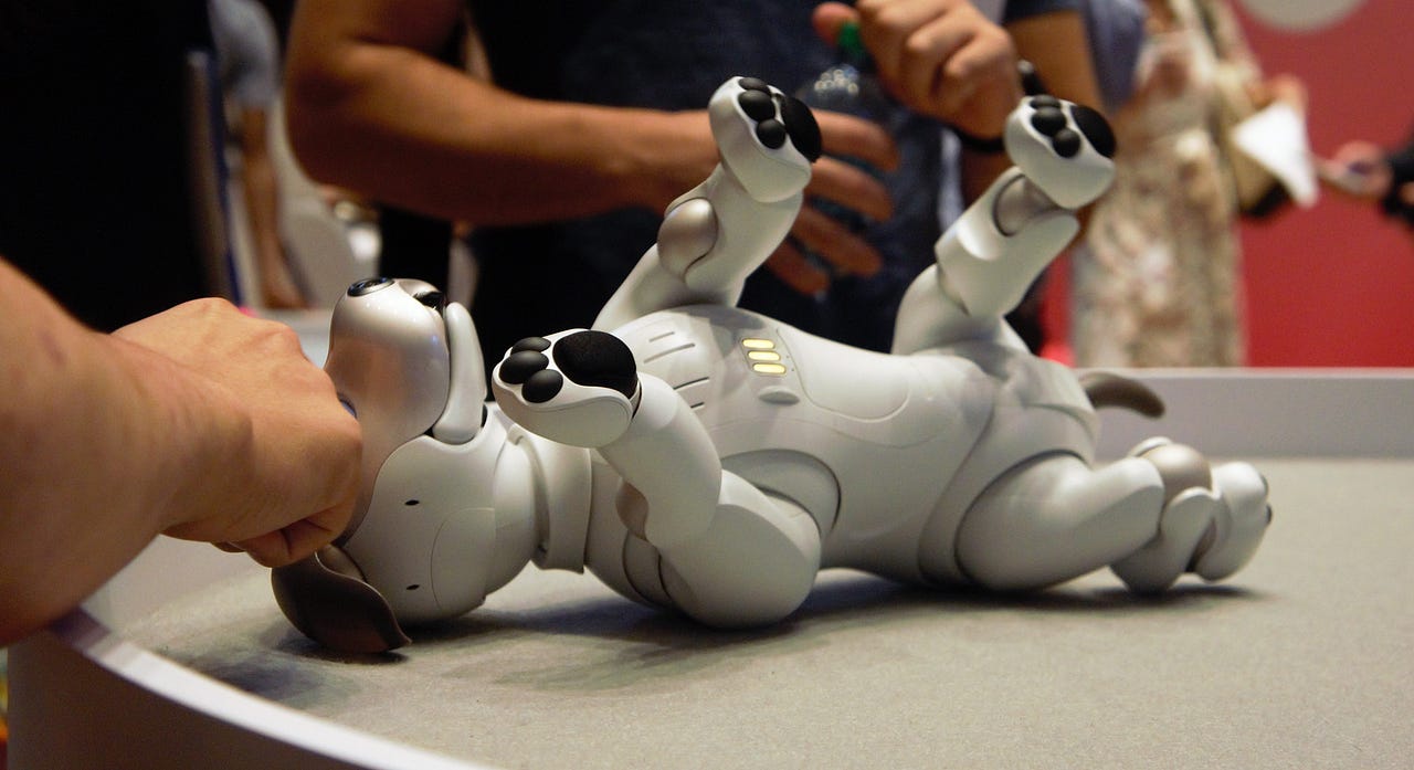 Sony AIBO finally returns to the U.S., but it’s one expensive pup | by Lance Ulanoff | Medium