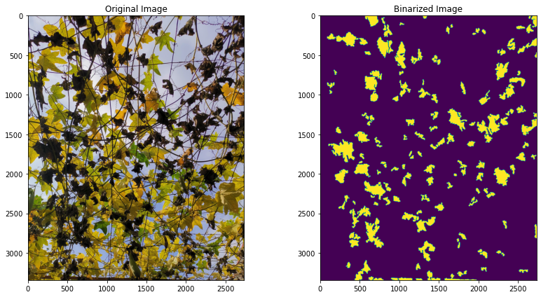 Image Processing with Python: Blob Detection using LoG, DoG, and DoH | by Jephraim Manansala ...