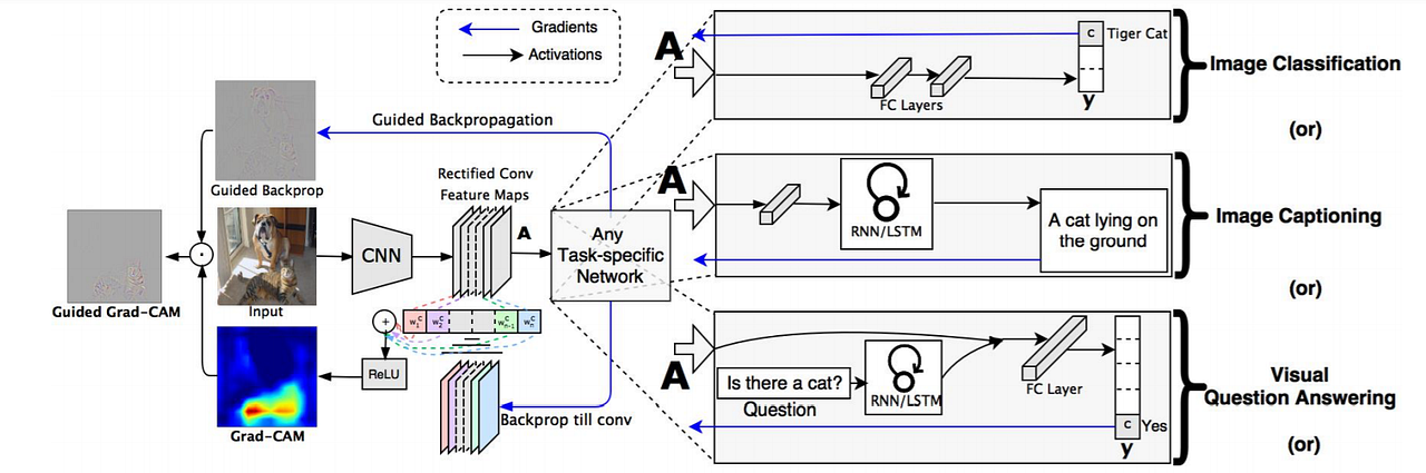How to Visually Explain any CNN based Models | by Renu Khandelwal ...