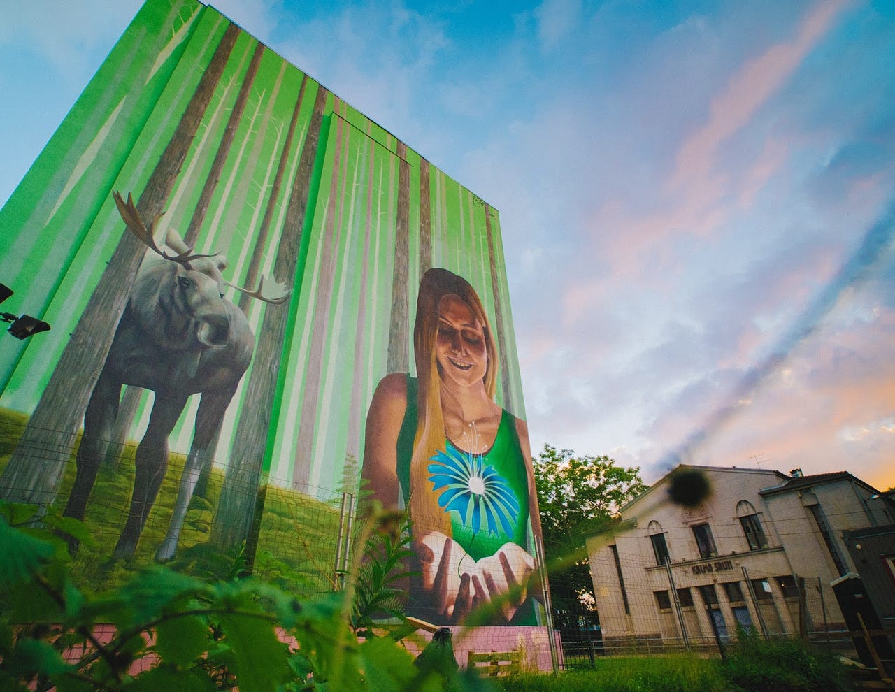 The best saunas to visit in Tallinn’s Kalamaja district | by Adam Rang ...