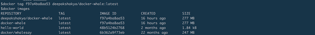 Beginner’s guide to use docker (Build, Run, Push and Pull) | by Deepak Shakya | Medium