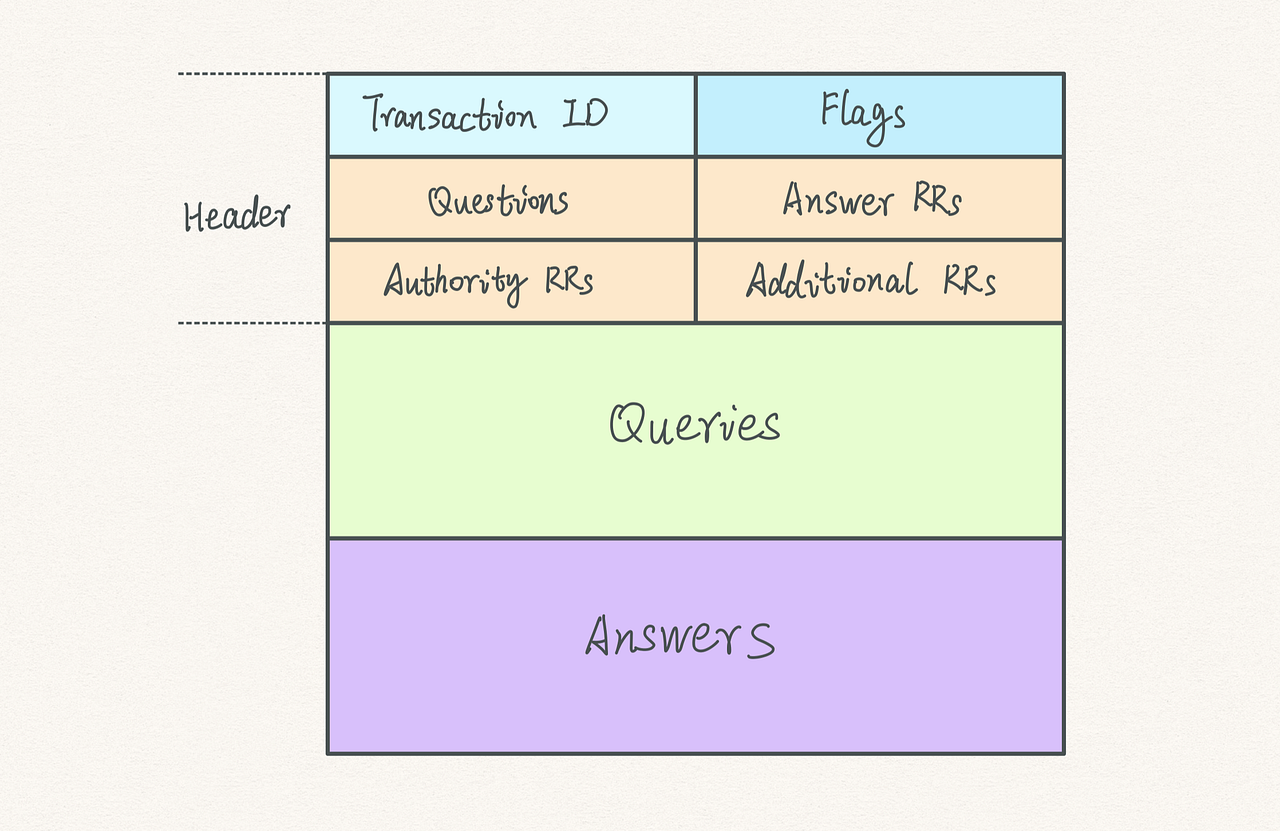 DNS Message — How to Read Query and Response Message | by Carson | May ...