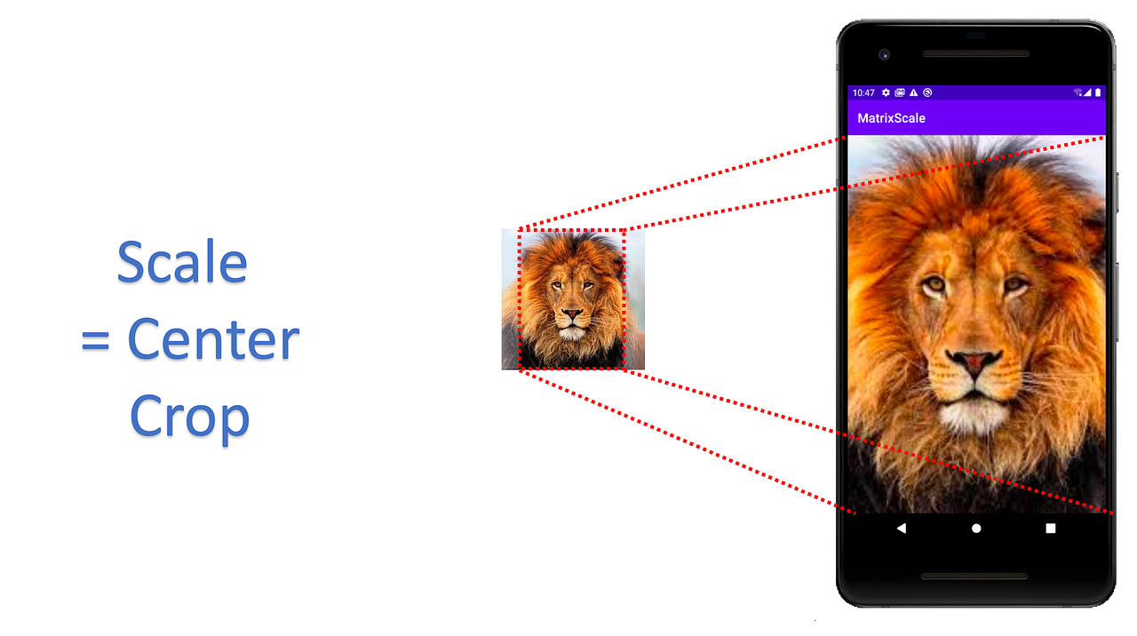 Android ImageView ScaleType Fully Illustrated | by Elye | Mobile App ...