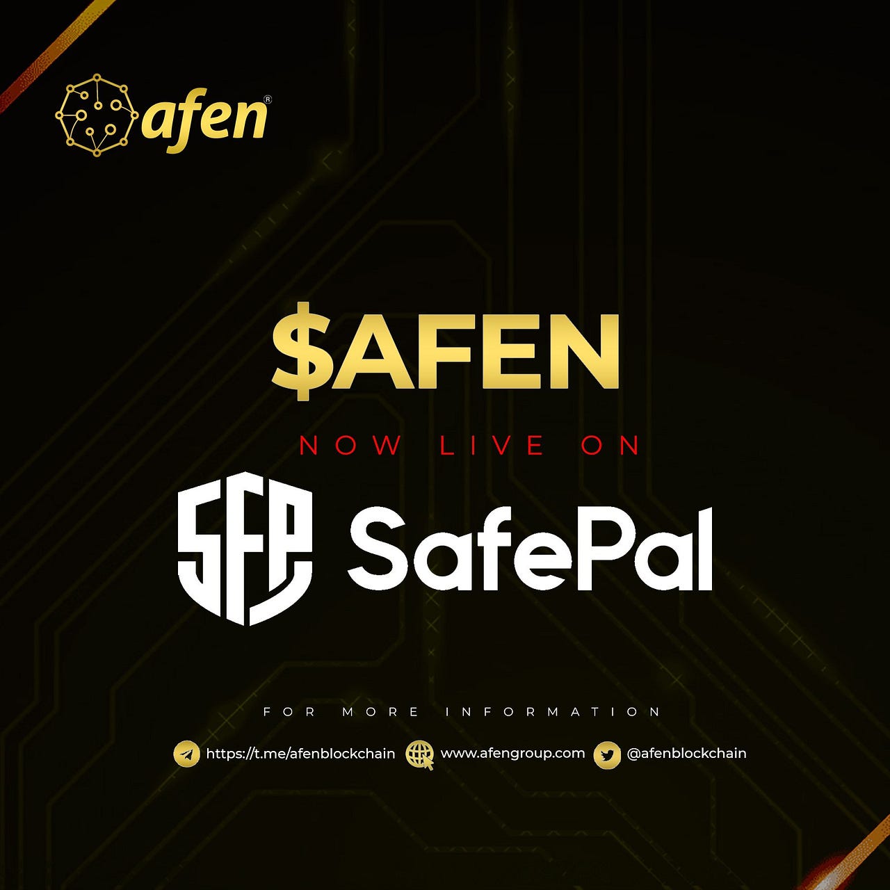 AFEN DEVELOPMENT UPDATE (#4). COMMUNITY BRIEFING ON ISSUES AND TEAM ...