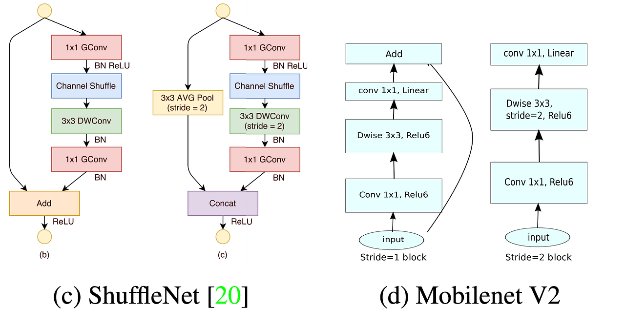 CNN模型-ResNet、MobileNet、DenseNet、ShuffleNet、EfficientNet | by Cinnamon ...