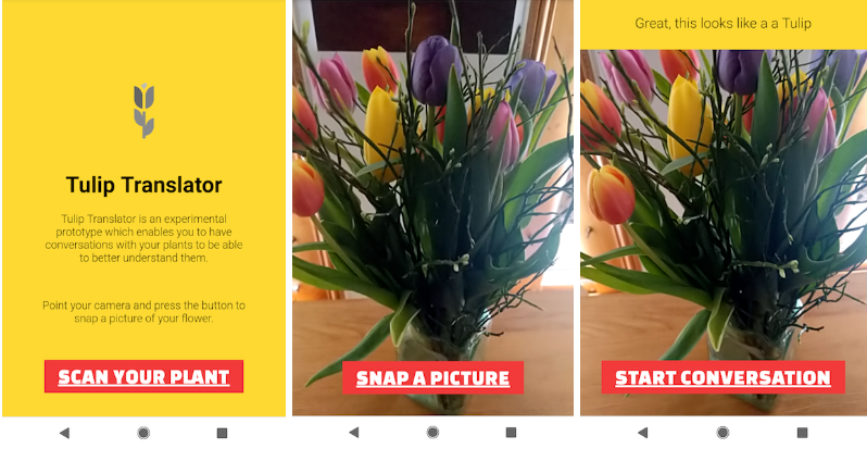 Google Tulip: The Technical Details | by Lak Lakshmanan | Google Cloud ...