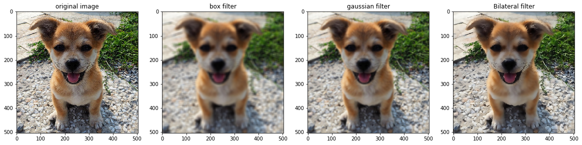 A Straightforward Introduction To Image Blurringsmoothing Using Python By Sagar Kumar