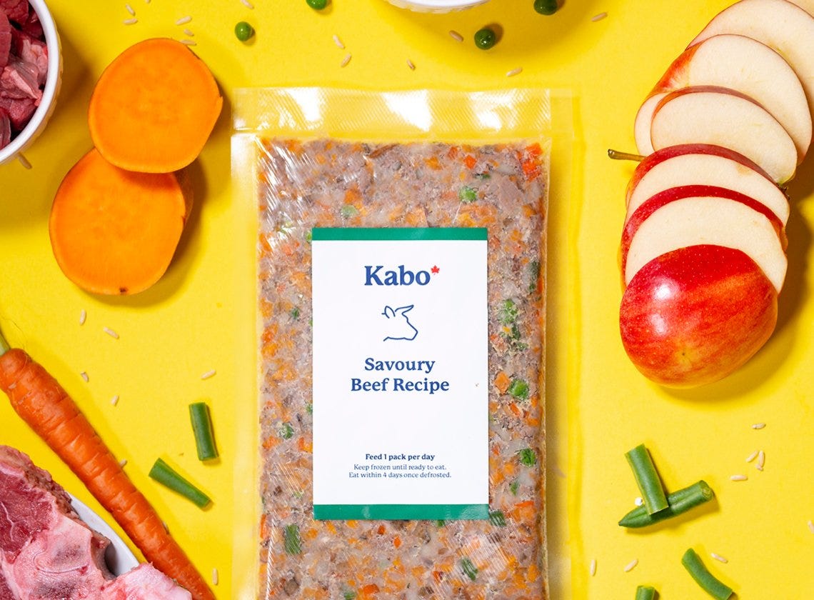 Kabo — Founder & CEO, Vino Jeyapalan | by #paid | #paid | Medium