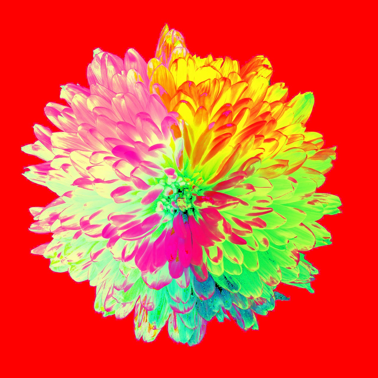 Colour Filtering and Colour Pop Effects using OpenCV Python | by Maximinusjoshus ...