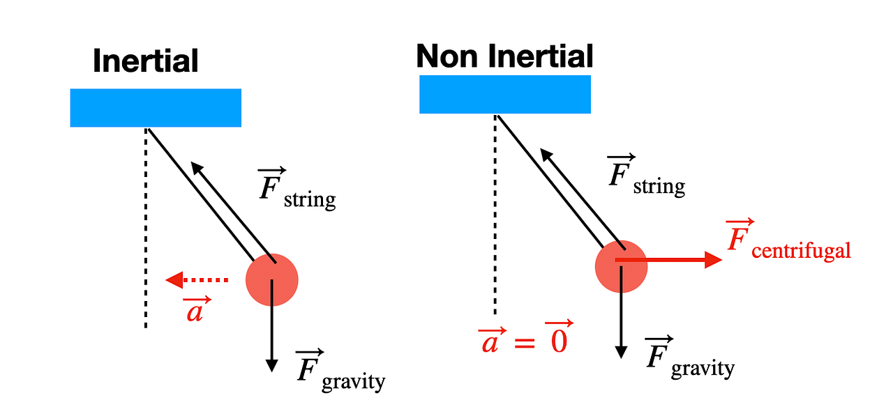 Centripetal vs. Centrifugal Forces. What’s the Difference? | by Rhett Allain | The Startup | Medium