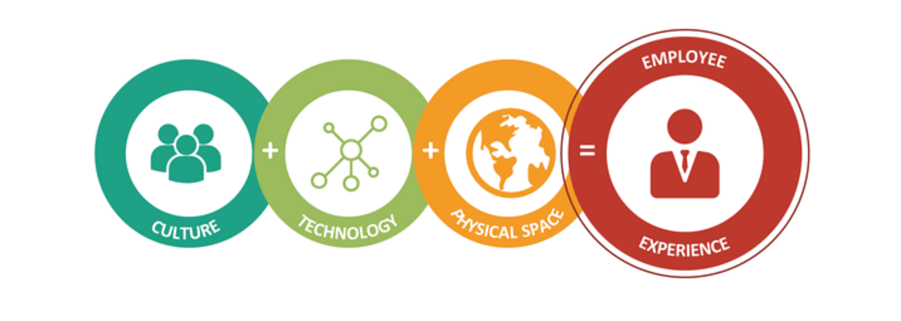 But what is employee experience exactly? Definition and impact (2/4 ...