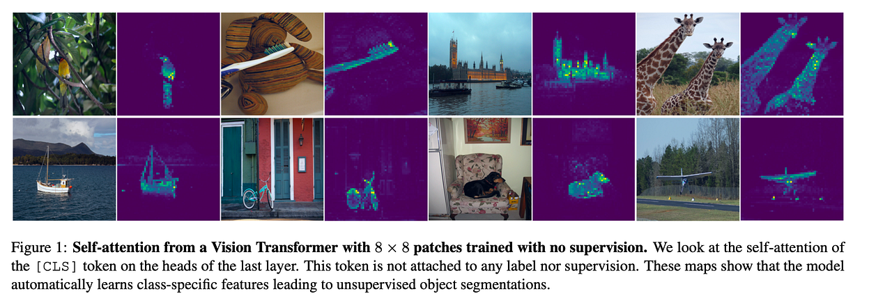 DINO: Emerging Properties in Self-Supervised Vision Transformers ...