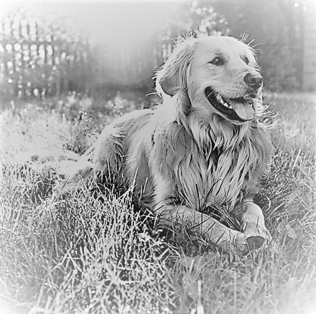 Basic Operations on Images using OpenCV — Python | by Koushik ...