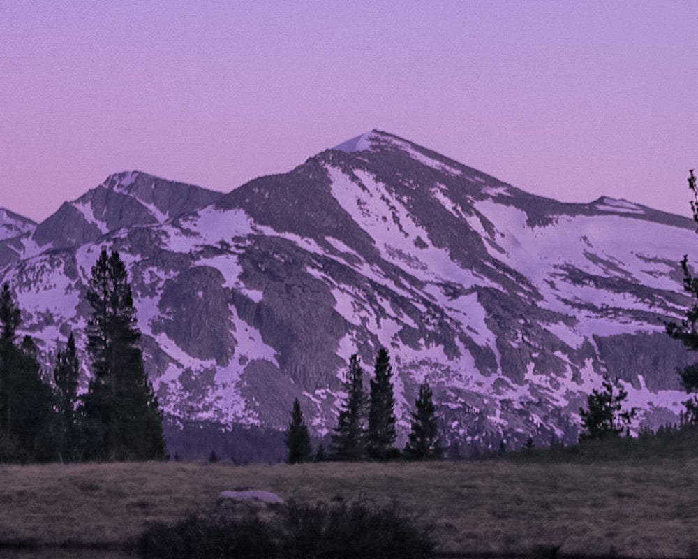 I Shot With Only One Camera Body and One Lens for 2 Years. Here are 5 ...