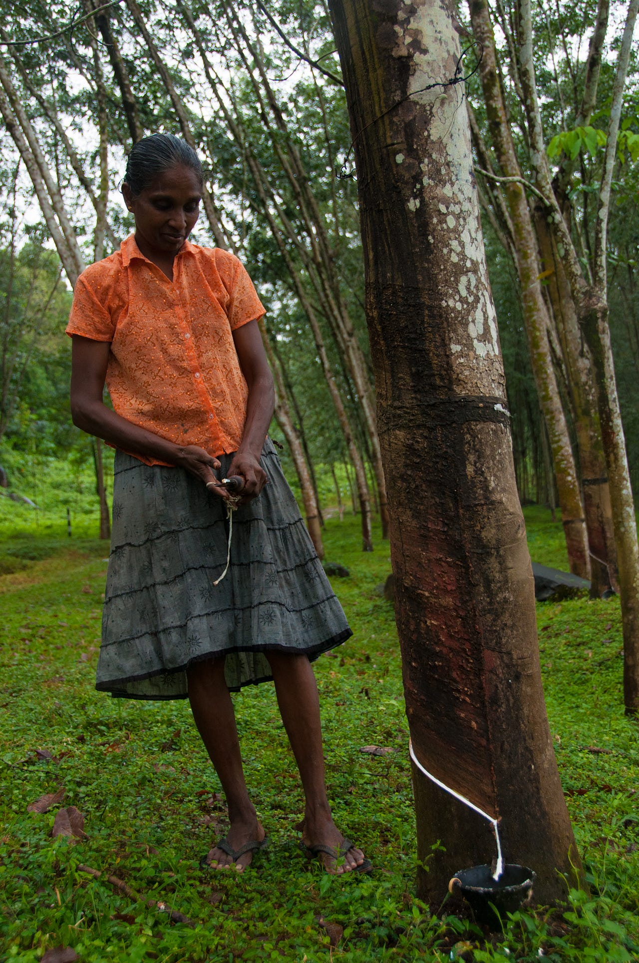 Rubber Grows On Trees: The Story Of The Rain Boot | by Alice + Whittles ...