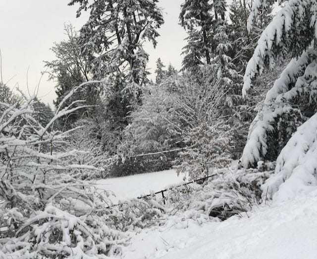 Meenakshi Noll, MD PhD – Medium