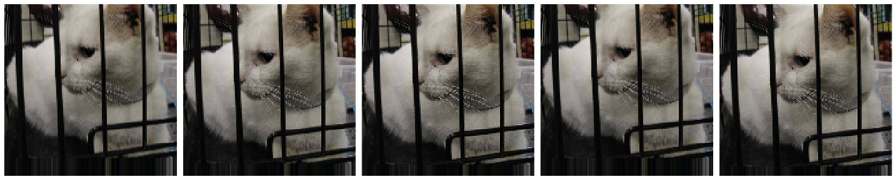 Image Data Augmentation Image Processing In Tensorflow Part 2 By