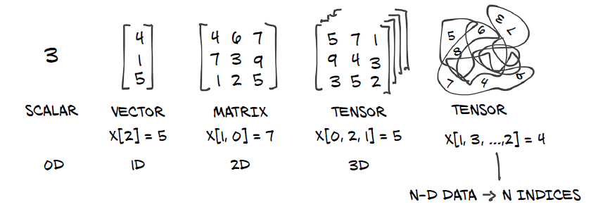 Introduction to Tensors | by Parastoofalakaflaki | Medium