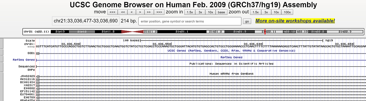 The Beginner’s Guide to Genetics Hacking | by Matthias Shapiro | Medium