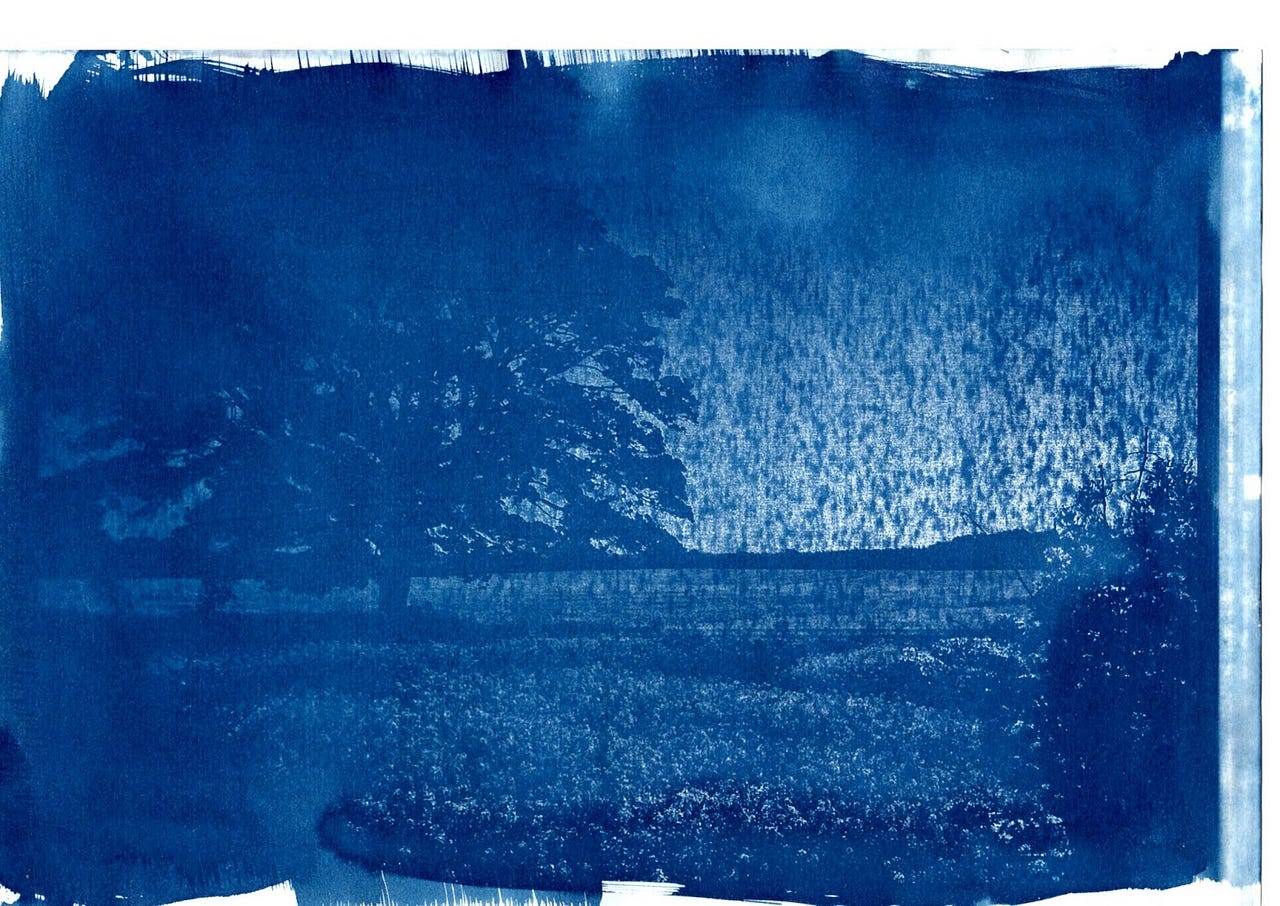 An Introduction to Photography Techniques: Cyanotype | by Eva Crawford ...