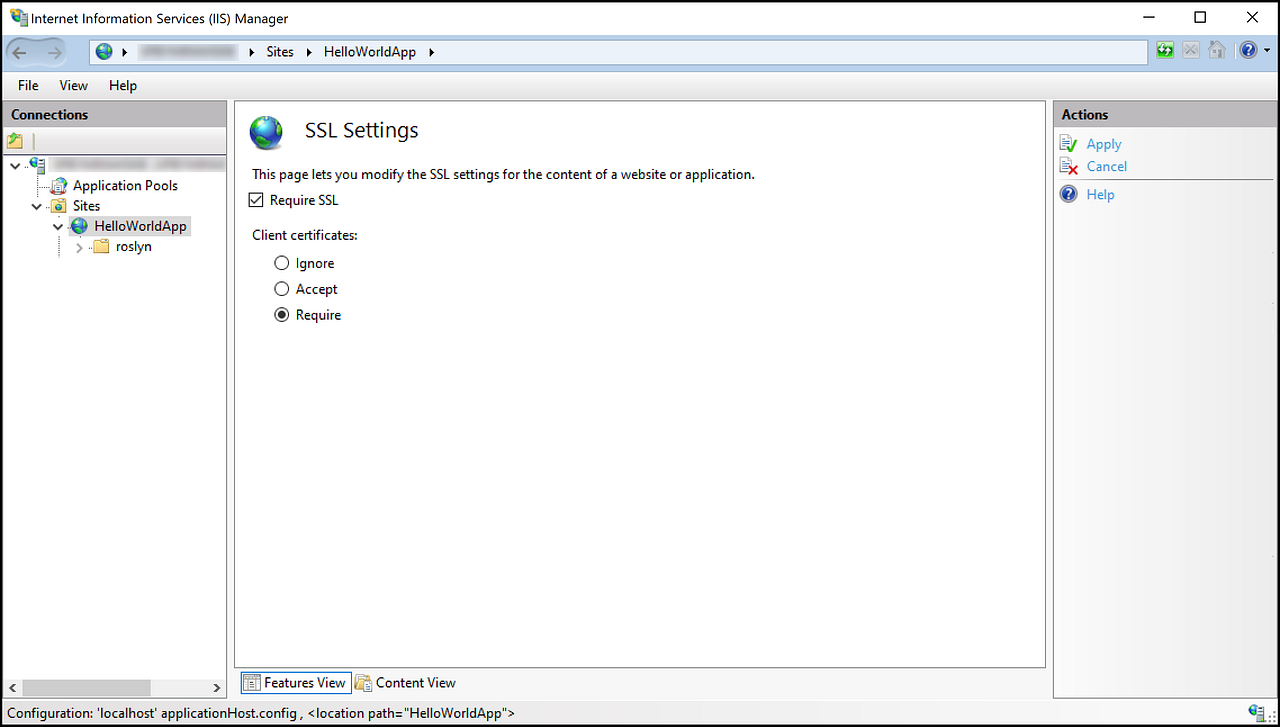Implementing Client Certificate Authentication with IIS and ASP.NET | by Arseni Rynkevich | Medium