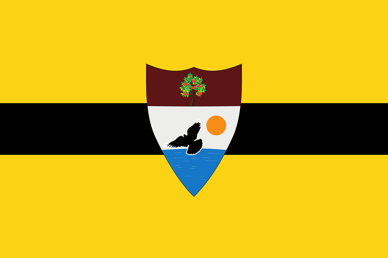 Liberland nation branding: how a small country chooses to play in the ...