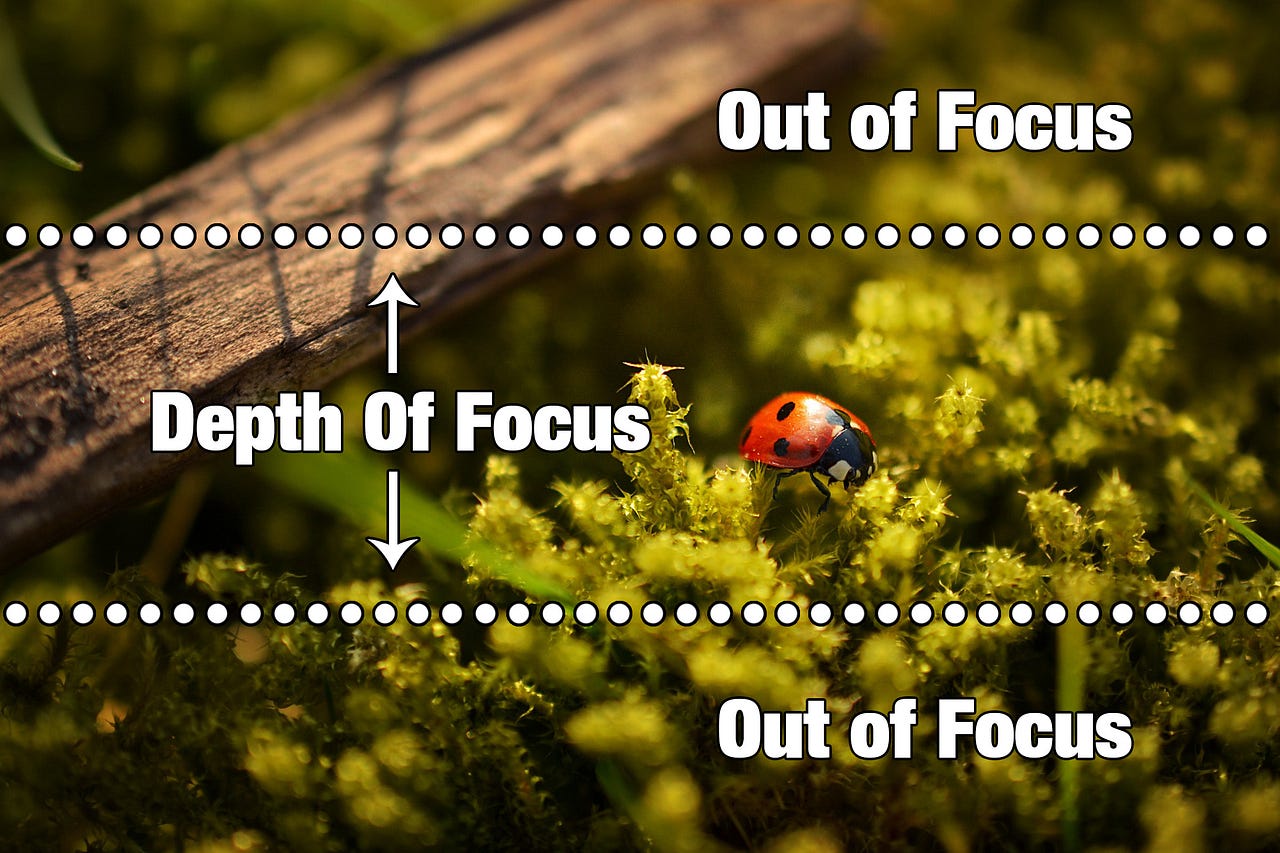 How & Why You Should Use Selective Focus Editing to Capture Audience ...
