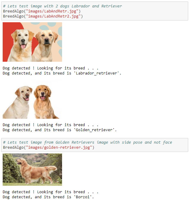 Deep Learning : Dog Breed Classifier using CNNs | by PraTeek Vyas | Jul ...