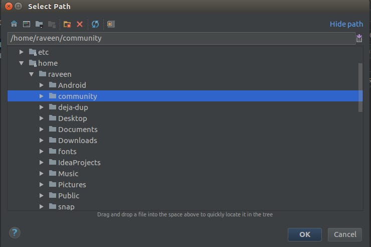 Developing An Intellij Idea Plugin For A Custom Language— Tutorial 1 Setting Up The Environment