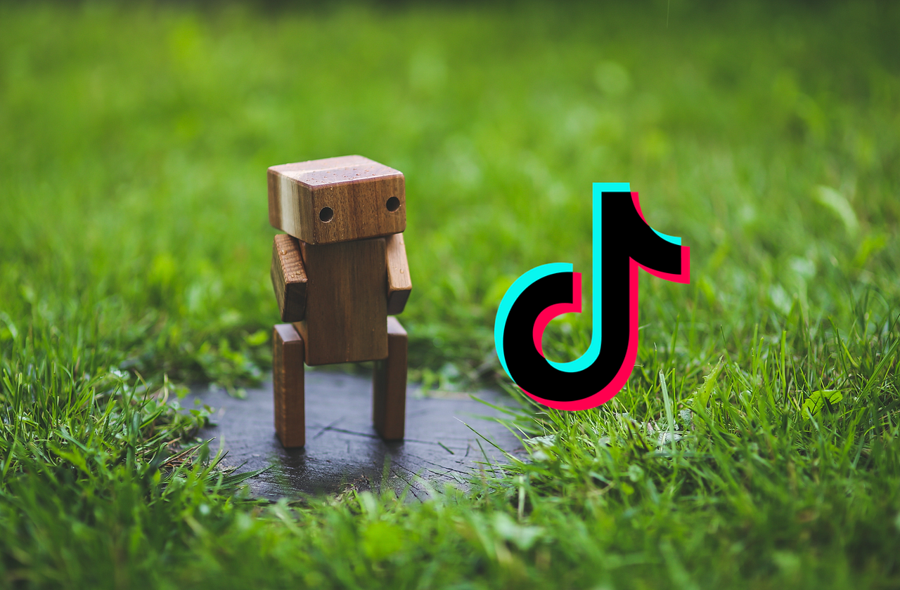 TikTok Bots — The Best Options For 2020 | Better Marketing