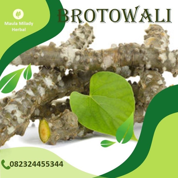 0823–2445–5344 Produsen bratawali brotowali di Karawang | by Grosir ...