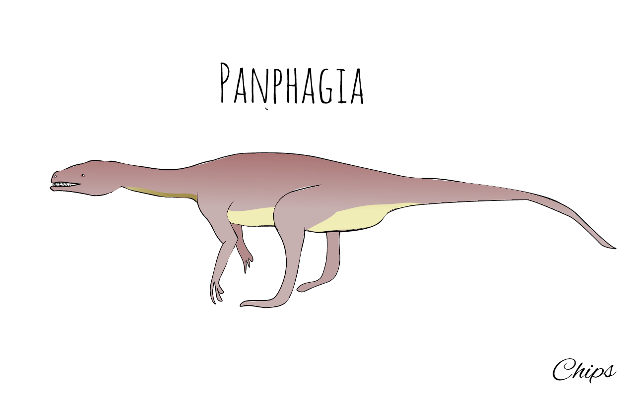 Panphagia protos. Panphagia protos is a remarkable… | by Chips the ...