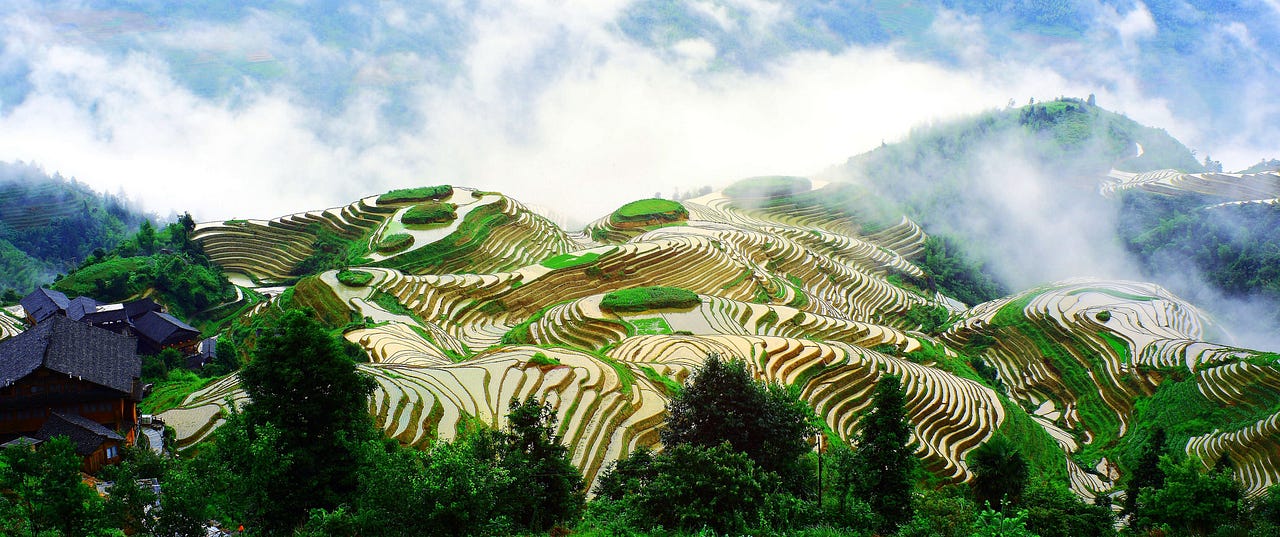 UN designates four Chinese farmlands as agricultural heritage sites ...