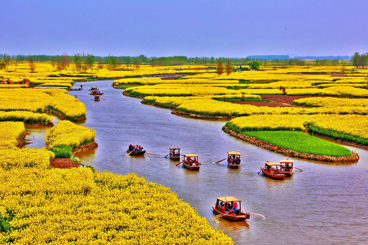 Top 5 Flower Fields to Enjoy the Best of Spring! | by Mihuru | Building ...