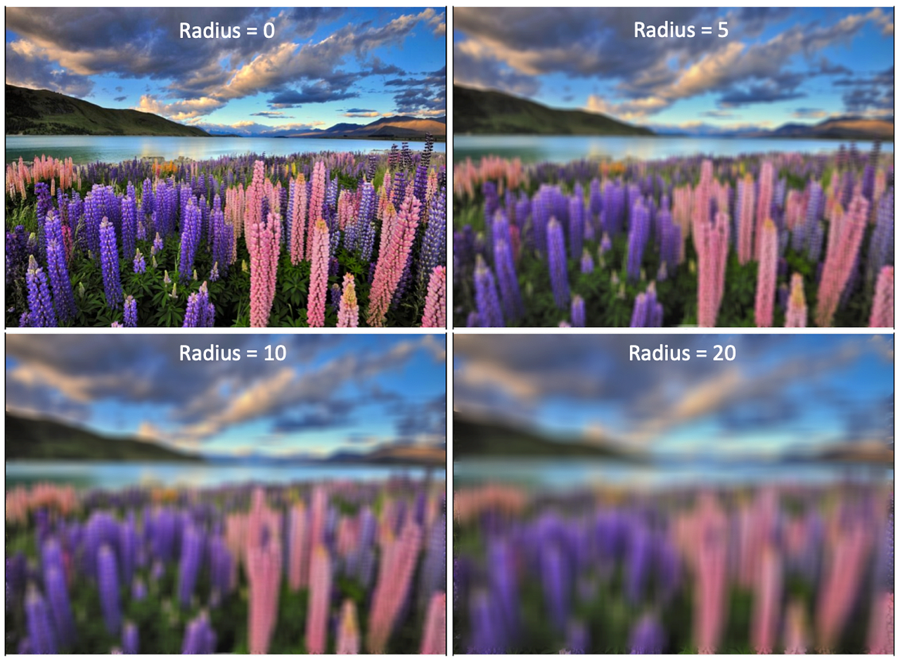 How To Blur An Image On Android Build An Image Blurring Algorithm By Elye Better