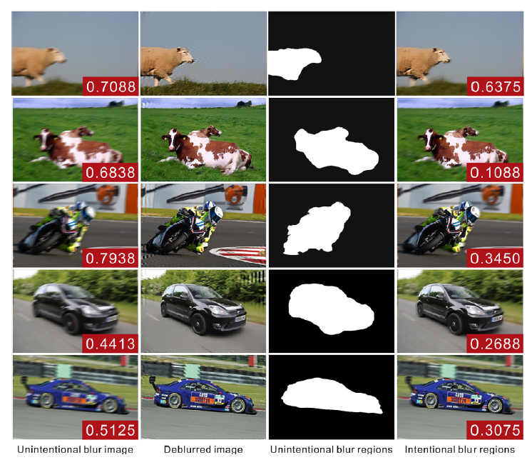 Review — Bdnet Blur Detection Convolutional Neural Network Blur Detection By Sik Ho Tsang