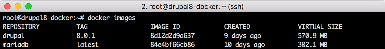 6 Reasons To Deploy Drupal 8 With Docker By Chingis Wodby Blog