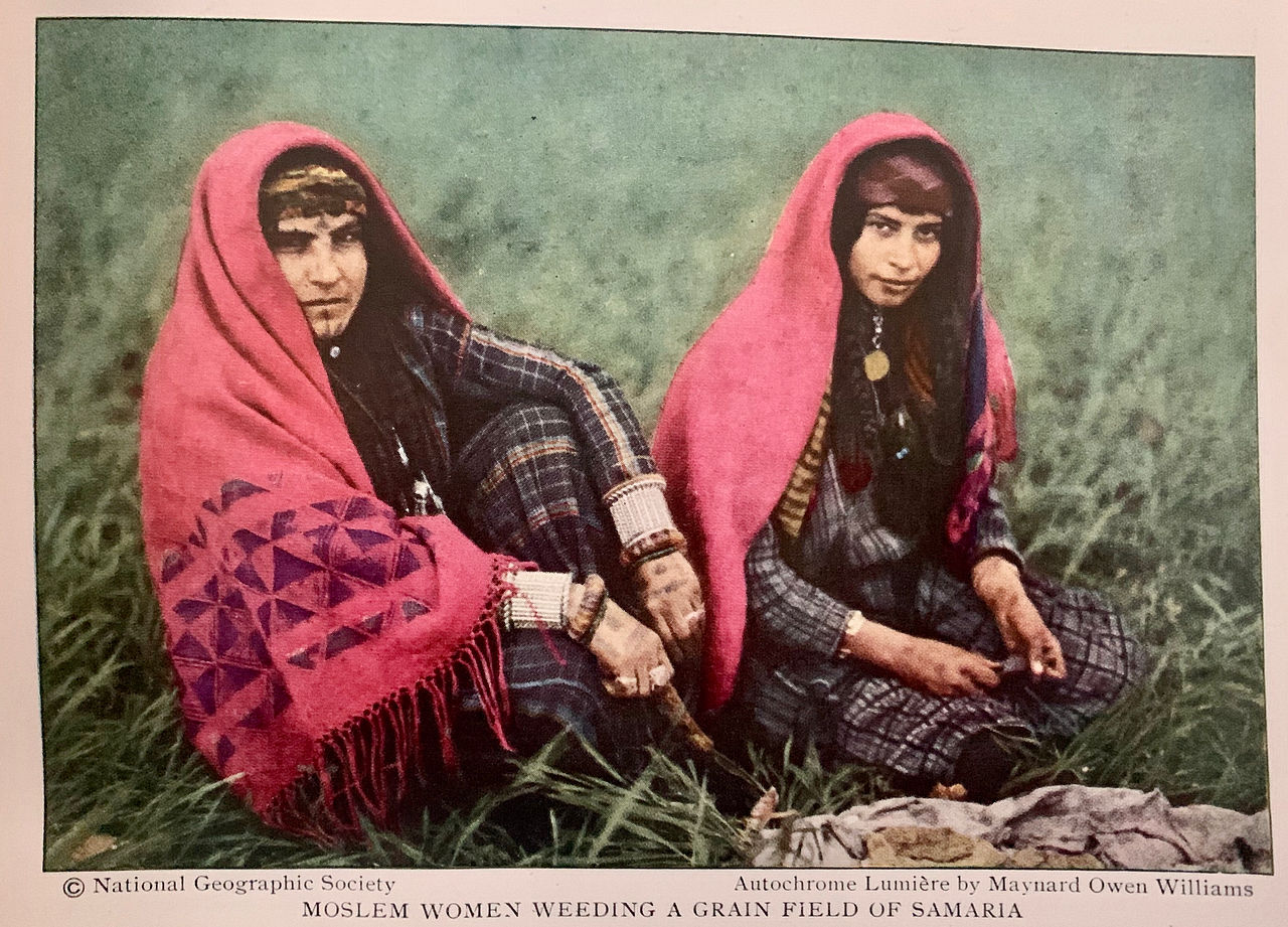 International Women’s Day 2021: Homage to the Rural Women of Palestine ...