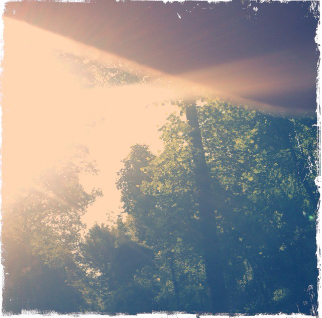 The Beginner’s Guide to Smartphone Photography | by Katie Simpson | The ...