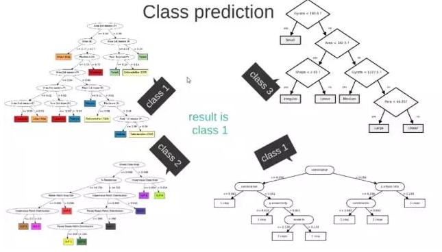 Chapter-8 Easy to understand the Top 10 commonly used Machine Learning ...